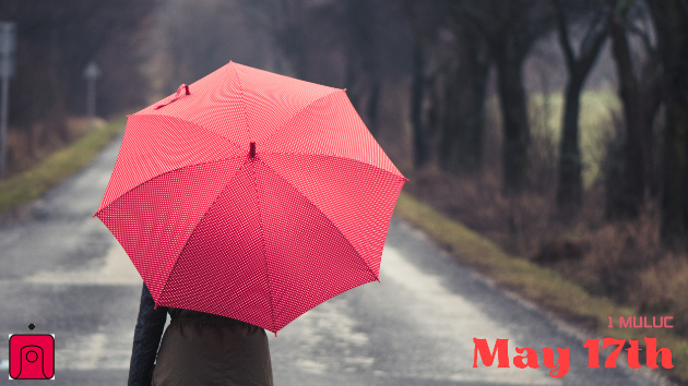 2024年5月17日 Kin 209 赤い月｜田中智咲斗｜coconalaブログ